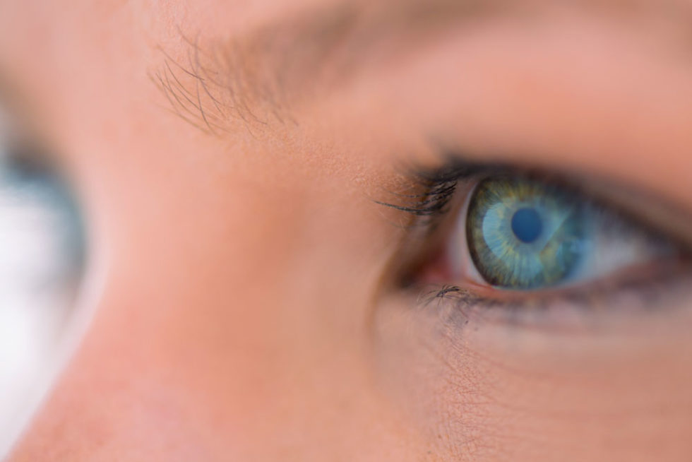 Basse Vision - Sille Optique